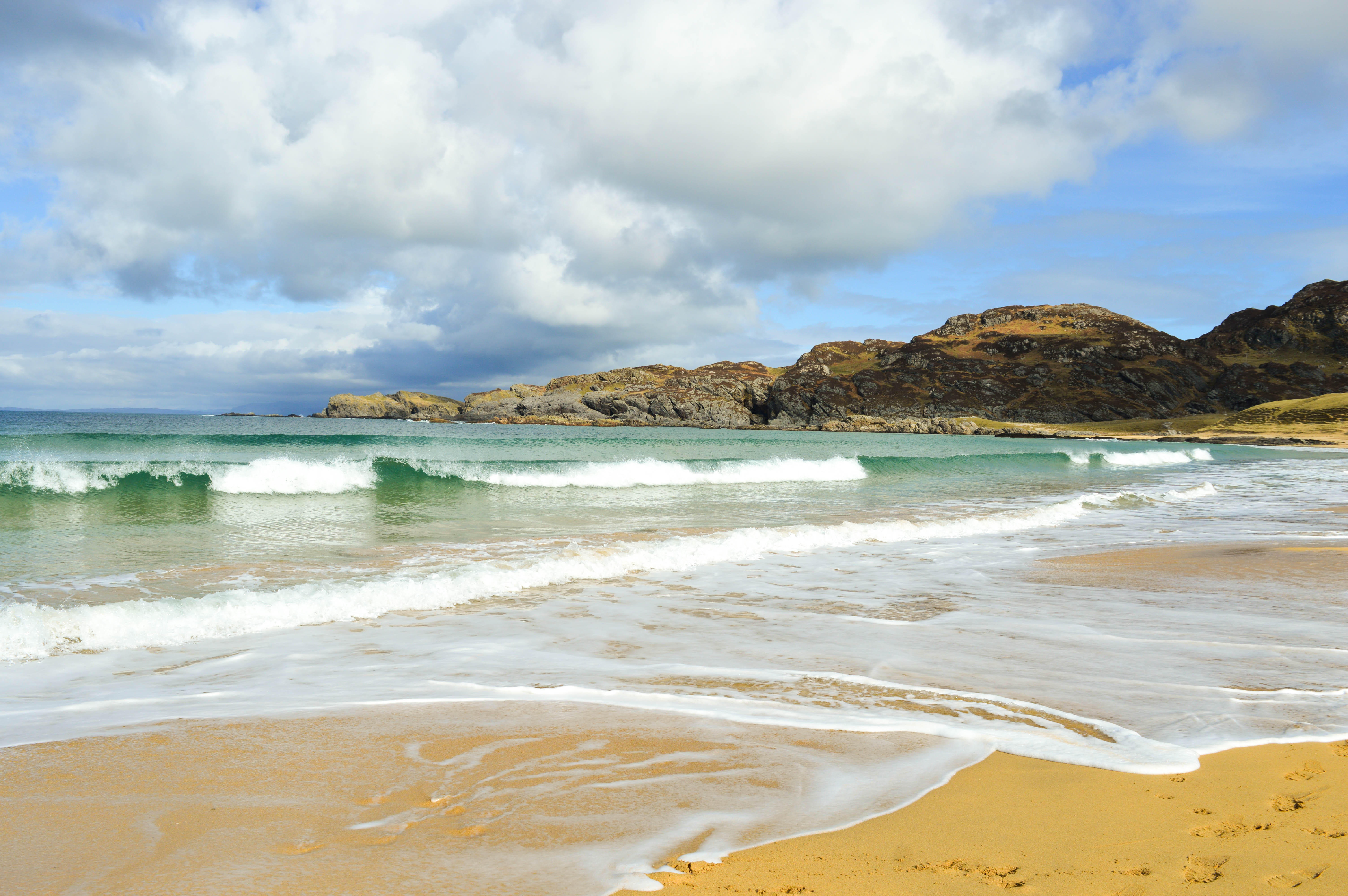 Wild Island – Wild Island Gin